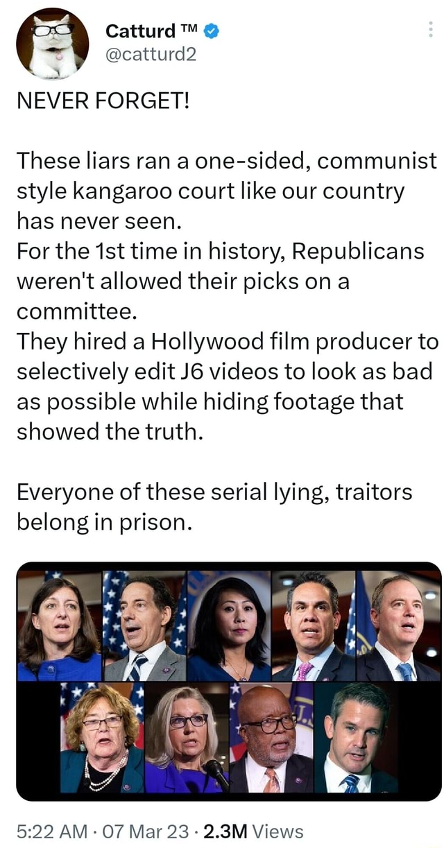 \ Catturd @catturd2 NEVER FORGET! These liars ran one-sided, communist ...