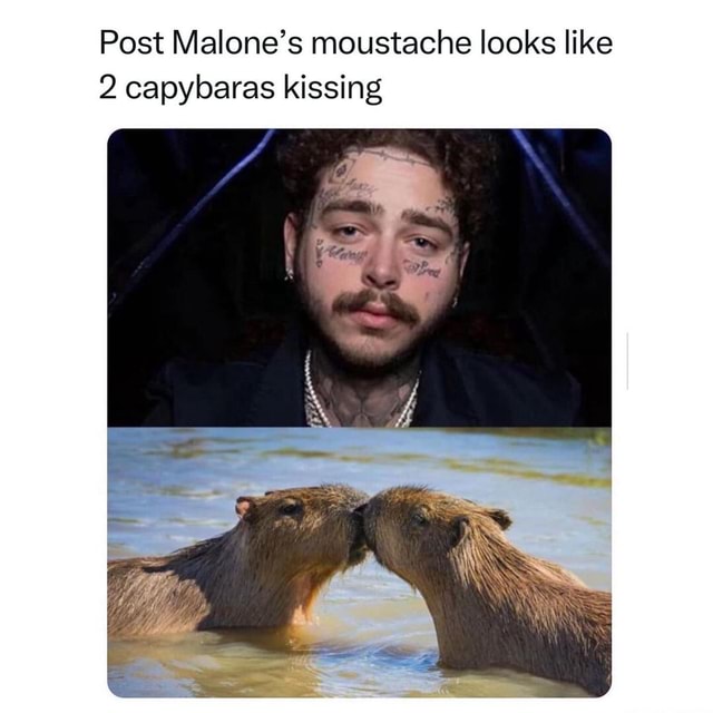 Swipe Random meme dump Like this content Follow us for more memezar Via ...