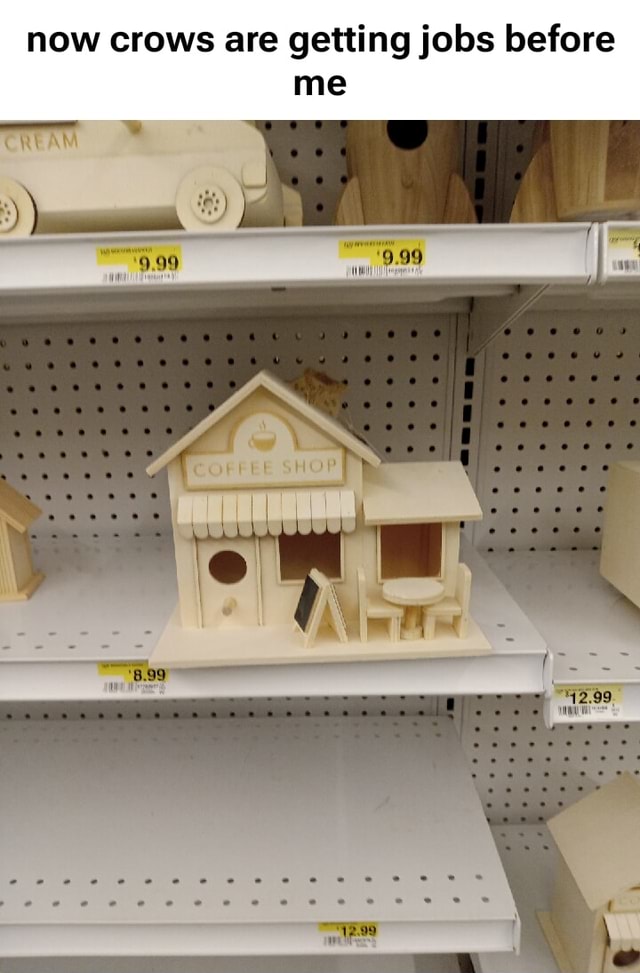 Now crows are getting jobs before me - America’s best pics and videos