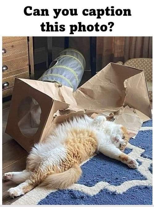 Can you caption this photo? - America’s best pics and videos