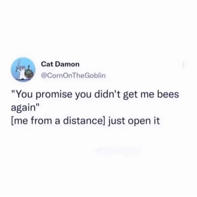 Don’t worry, it’s not bees this time. It’s wasps! - Cat Damon ...