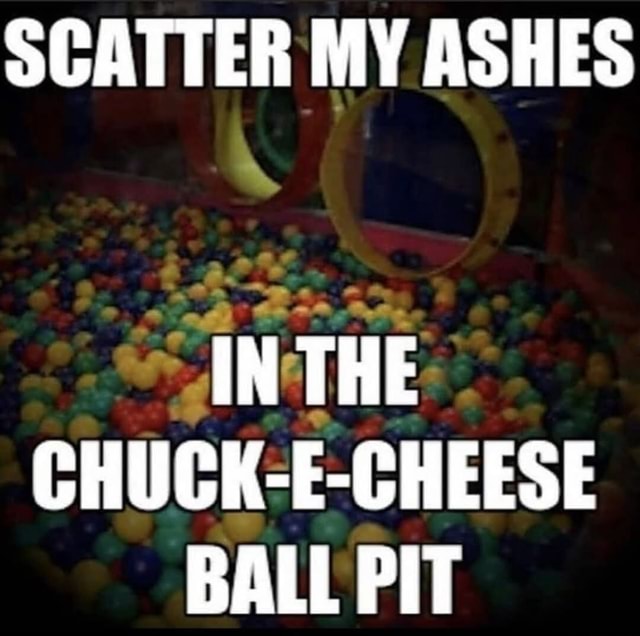 SCATTER MY ASHES IN THE CHUCK-E-CHEESE BALL PIT - America’s best pics ...
