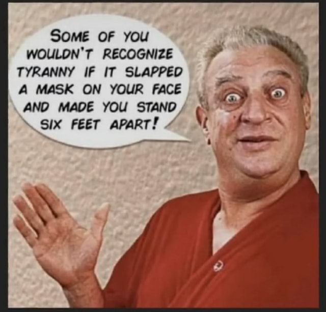 SOME OF YOU WOULDN'T RECOGNIZE TYRANNY iF IT SLAPPED A MASK ON YOUR ...