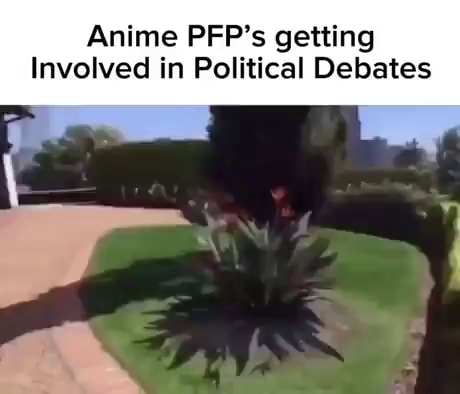 Anime PFP's getting Involved in Political Debates - America’s best pics ...