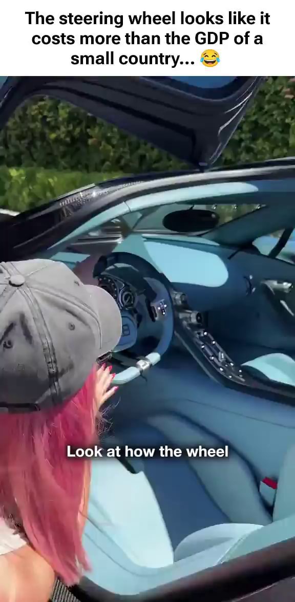 The steering wheel looks like it costs more than the GDP of a small ...