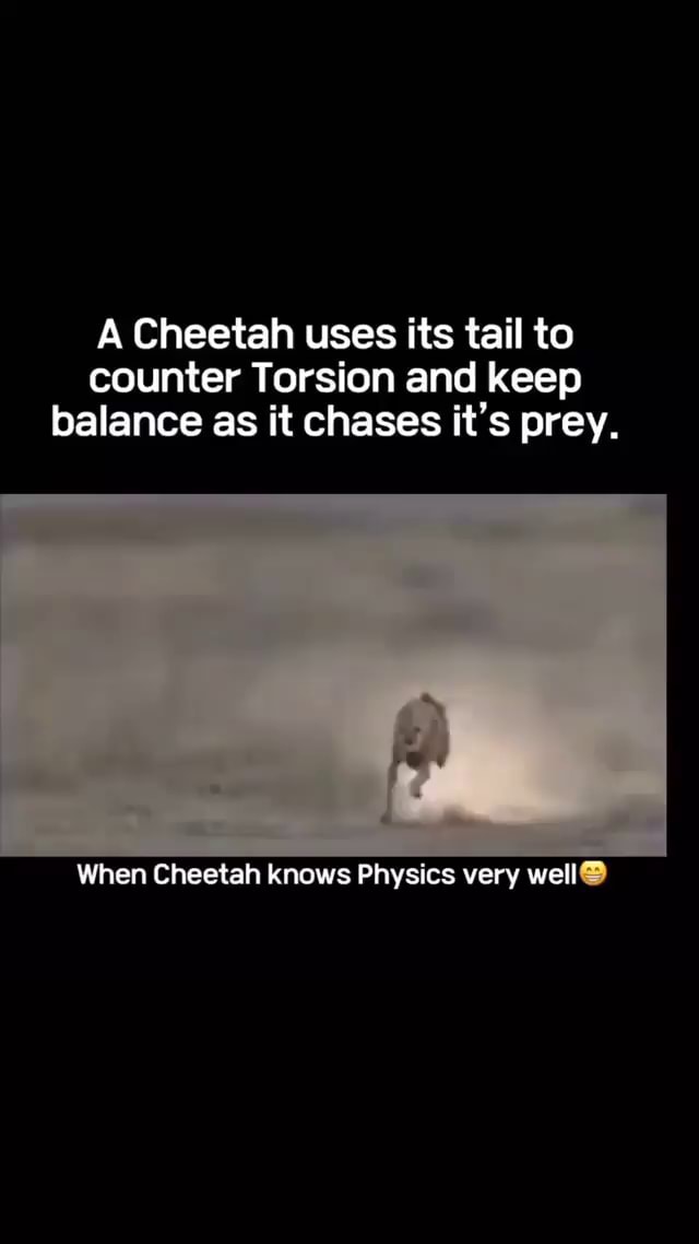 #space #NASA #explorepage #physics #science - A Cheetah uses its tail ...