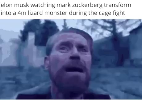Elon musk watching mark zuckerberg transform into a lizard monster ...