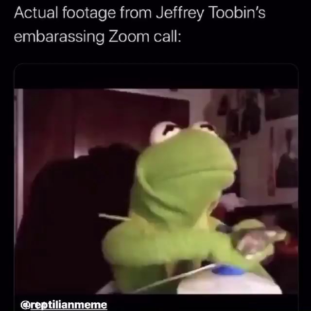 Actual footage from Jeffrey Toobin's embarassing Zoom call: - America’s ...