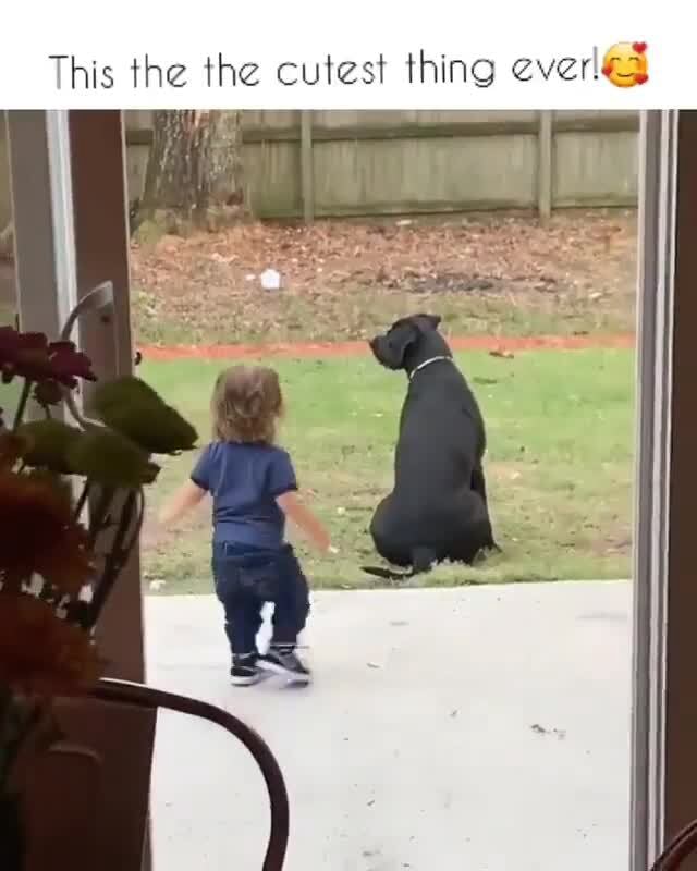 This the the cutest thing eve@ - America’s best pics and videos