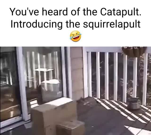 You've heard of the Catapult. Introducing the squirrelapult - America’s ...