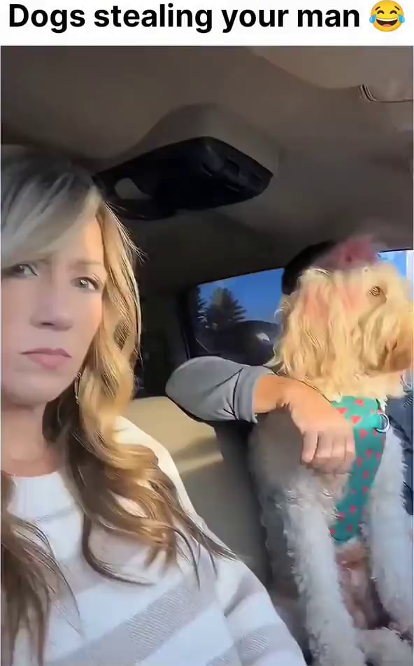 Dogs stealing your man - America’s best pics and videos
