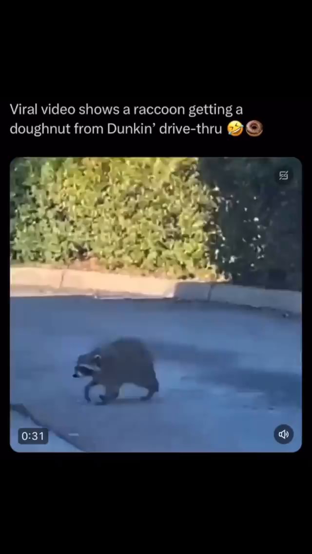 N/A - Viral video shows a raccoon getting a doughnut from Dunkin' drive ...