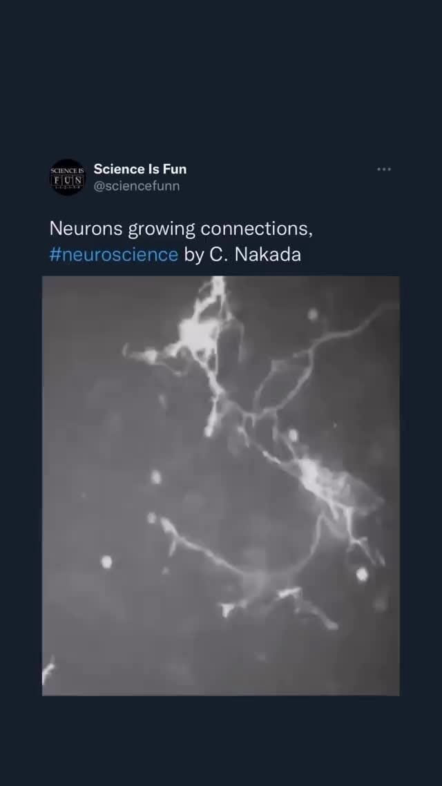 The links between neurons are called synapses. What exactly is a ...