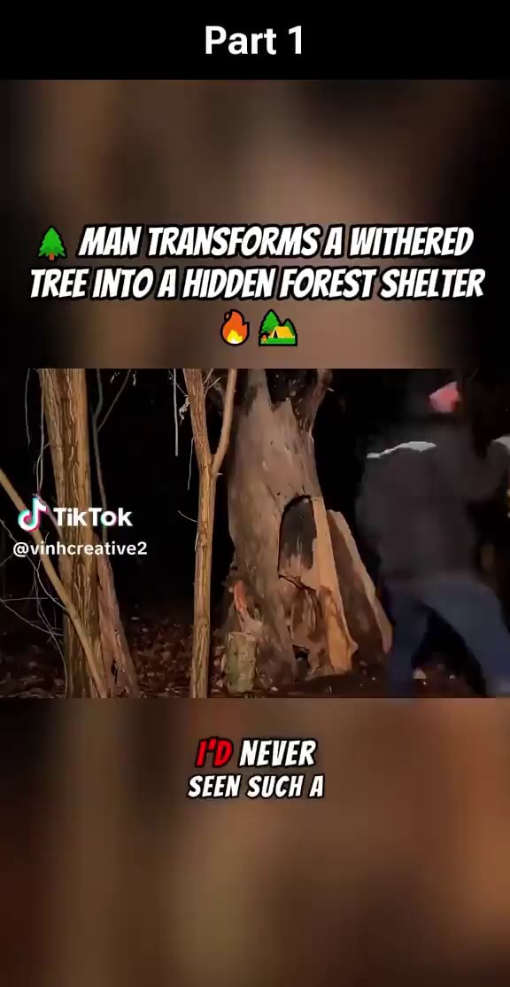 Part 1 MAN TRANSFORMS A WITHERED TREE INTO HIDDEN FOREST SHELTER @vinhe ...