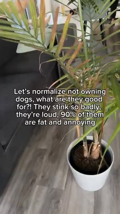Let's normalize not owning clogs, what are they good for?! They stink ...