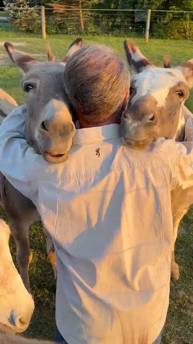 Dean Fagan, co-owner of a donkey sanctuary in Marengo, Ohio, serenaded ...
