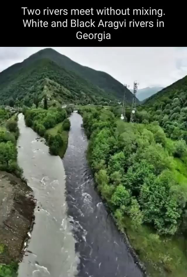 Two rivers meet without mixing. White and Black Aragvi rivers in ...