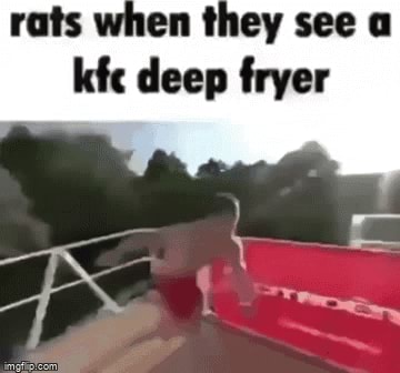 Rats when they see a kfc deep fryer - America’s best pics and videos