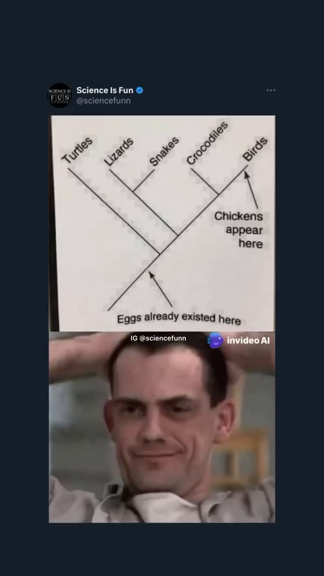The diagram illustrates a simplified evolutionary tree (phylogenetic ...