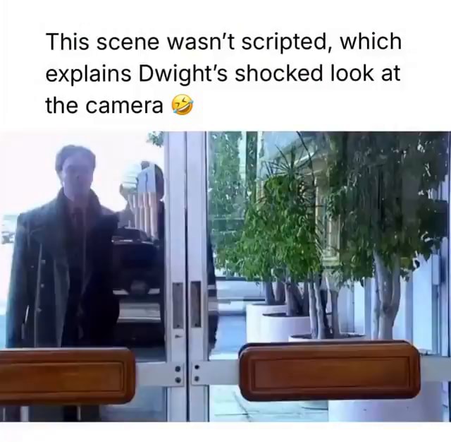 This scene wasn't scripted, which explains Dwight's shocked look at the ...