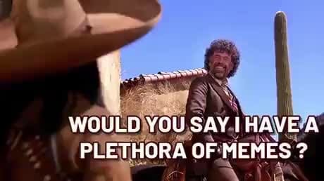 WOULD YOU SAY! HAVE A PLETHORA OF MEMES - America’s best pics and videos
