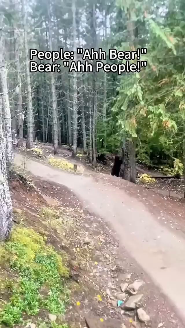 People: Bear!" Bear: "Ahh People!" - America’s best pics and videos